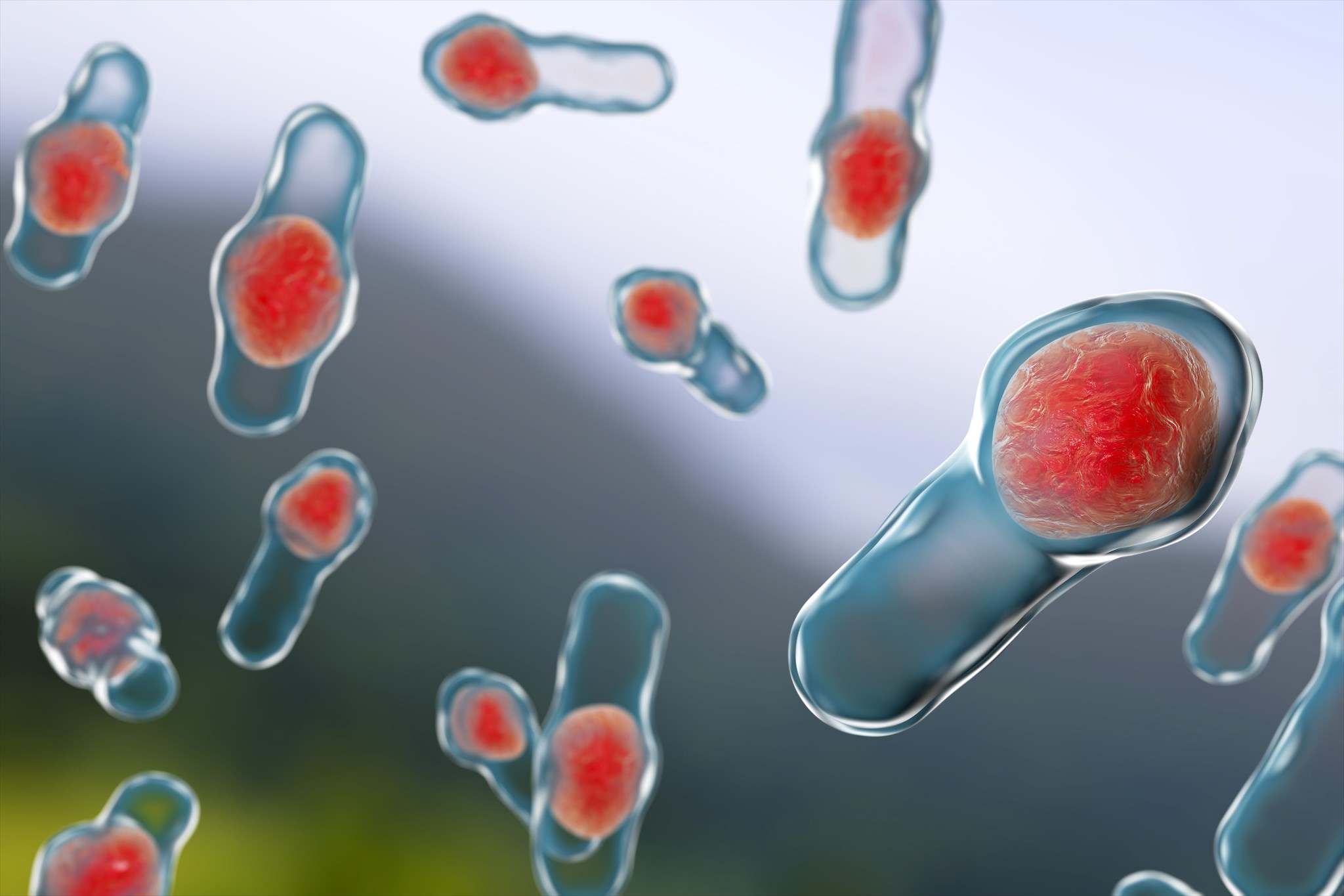 Clostridium Difficile Infection Essential Knowledge For Nurses And Clostridium Difficile Infection Essential Knowledge For Nurses And
